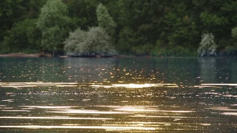 Loving To Splash Stock Videos – Royalty-Free HD & 4K Videos