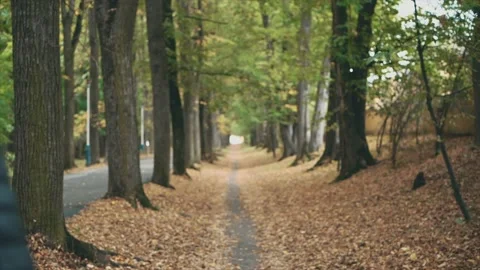 A loving couple walks in autumn park. Ba... | Stock Video | Pond5