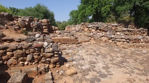 Shot Daun Stock Videos – Royalty-Free HD & 4K Videos