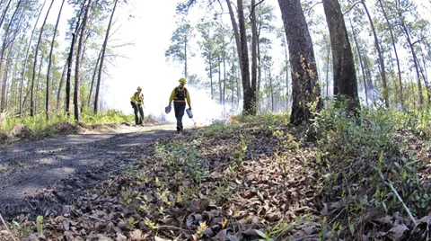 Low Fire 1165 Stock Footage ~ Royalty Free Stock Videos | Pond5