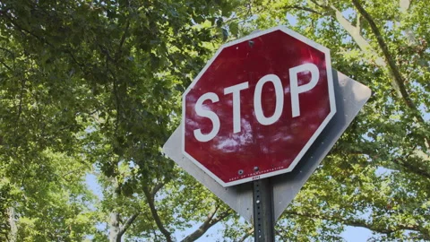 Low Angle of Stop Sign Surrounded by Gre... | Stock Video | Pond5