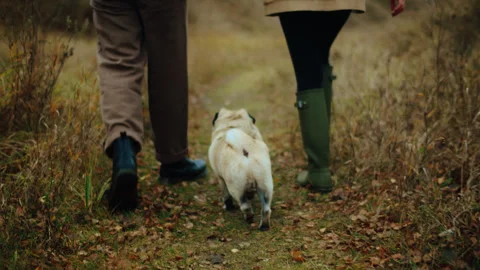 Feet 5 Forest Stock Videos – Royalty-Free HD & 4K Videos | Page 5