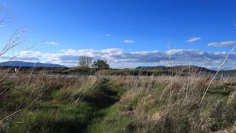 LOW ANGLE WALK THROUGH TALL GRASS AT WET... | Stock Video | Pond5