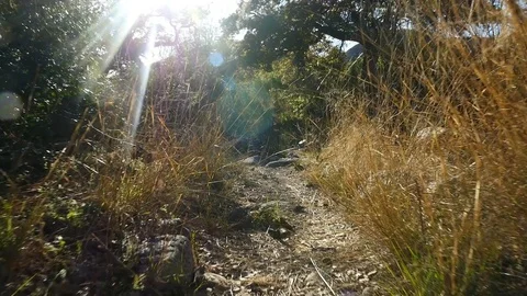 Hiking Desert Pov Stock Footage ~ Royalty Free Stock Videos | Pond5