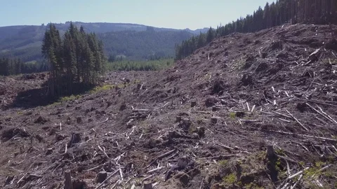 Low flight along a logged hillside with ... | Stock Video | Pond5