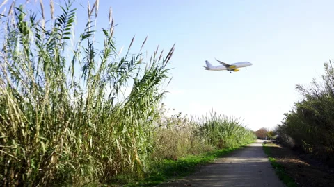 low flying level altitude plane boeing f... | Stock Video | Pond5