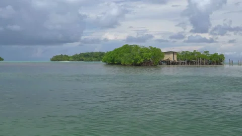 Low-lying Solomon islands blue carbon, m... | Stock Video | Pond5
