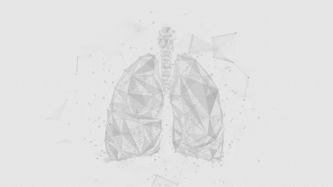 Lung Background Stock Videos – Royalty-Free HD & 4K Videos | Pond5