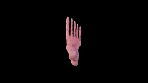 Low polygon human feet animation, origam... | Stock Video | Pond5