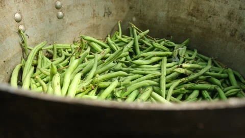 Low Quality Stock Video Footage | Royalty Free Low Quality Videos | Pond5