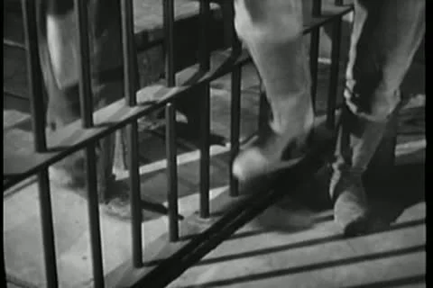 Stomping Feet Stock Footage ~ Royalty Free Stock Videos | Pond5