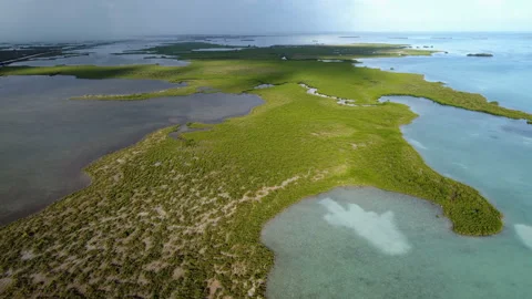 Lower Florida Keys Flying over mangroves... | Stock Video | Pond5