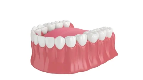 Lower jaw with cast post and core premol... | Stock Video | Pond5
