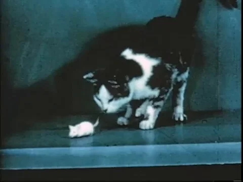 Chemical Lab Lsd Stock Video Footage | Royalty Free Chemical Lab Lsd ...