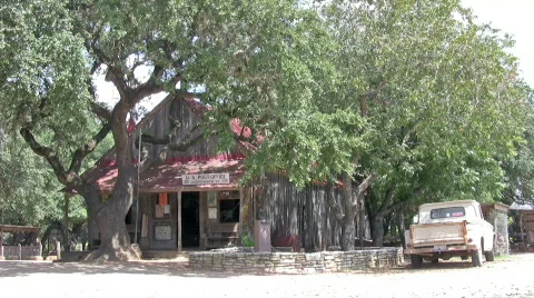 Texas Oak Tree Stock Video Footage | Royalty Free Texas Oak Tree Videos ...
