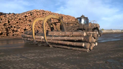 LUMBER MILL LOGGING TIMBER AND TREES WIT... | Stock Video | Pond5
