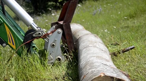 Stock Logging Stock Video Footage | Royalty Free Stock Logging Videos ...