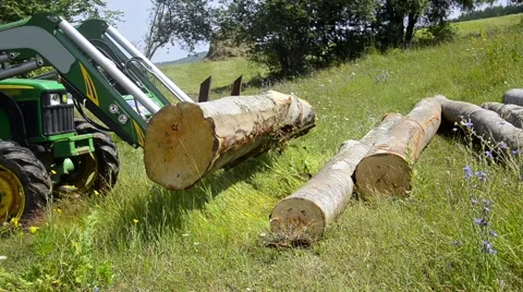 Stock Logging Stock Video Footage | Royalty Free Stock Logging Videos ...