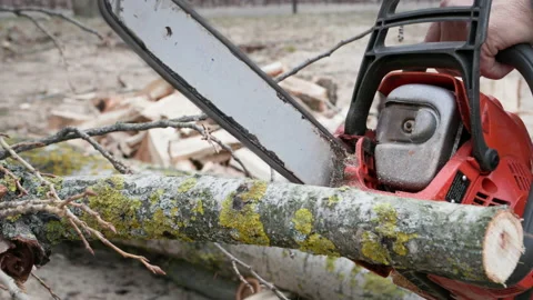 Man Using Chainsaw Stock Videos – Royalty-Free HD & 4K Videos | Page 3