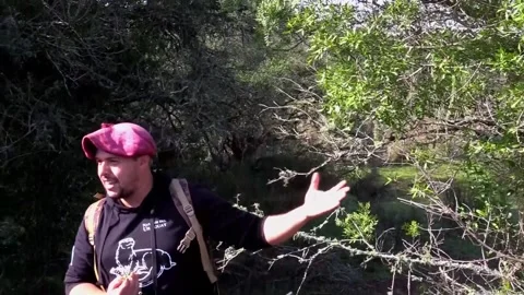 Foot Wonder Stock Videos – Royalty-Free HD & 4K Videos | Pond5