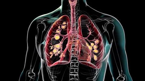 Cyster Animation Stock Video Footage | Royalty Free Cyster Animation ...