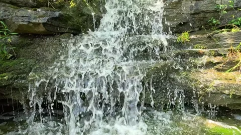Forest Stream Stones Stock Videos – Royalty-Free HD & 4K Videos | Pond5