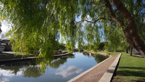 Tree Line House Stock Videos – Royalty-Free HD & 4K Videos | Page 5