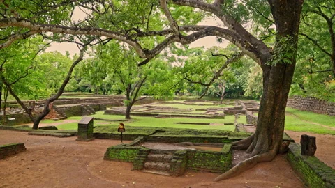 Lush landscape of the Royal Gardens and ... | Stock Video | Pond5