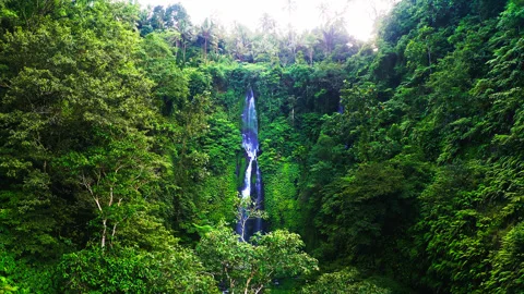 Lush tropical rainforest gorge with casc... | Stock Video | Pond5