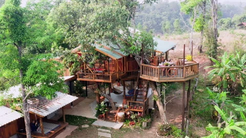 Luxurious wooden treehouse cottage with ... | Stock Video | Pond5