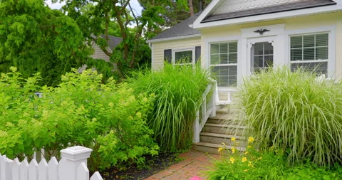 luxury house with big tree and nice land... | Stock Video | Pond5