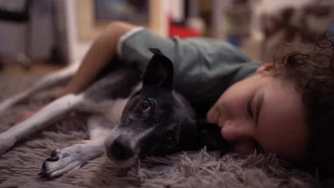 Boy Kinky Stock Videos – Royalty-Free HD & 4K Videos