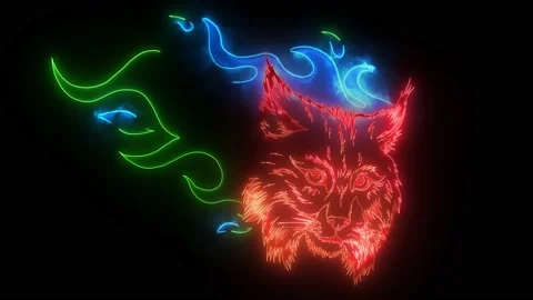 Lynx animal face. Eurasian lynx cat head... | Stock Video | Pond5