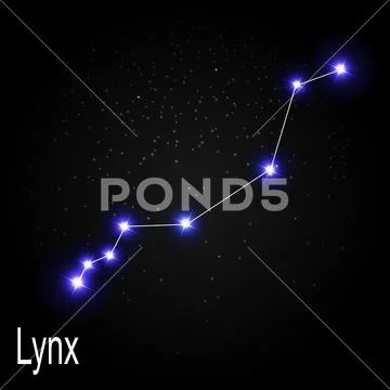 Lynx Constellation with Beautiful Bright Stars on the Background ...