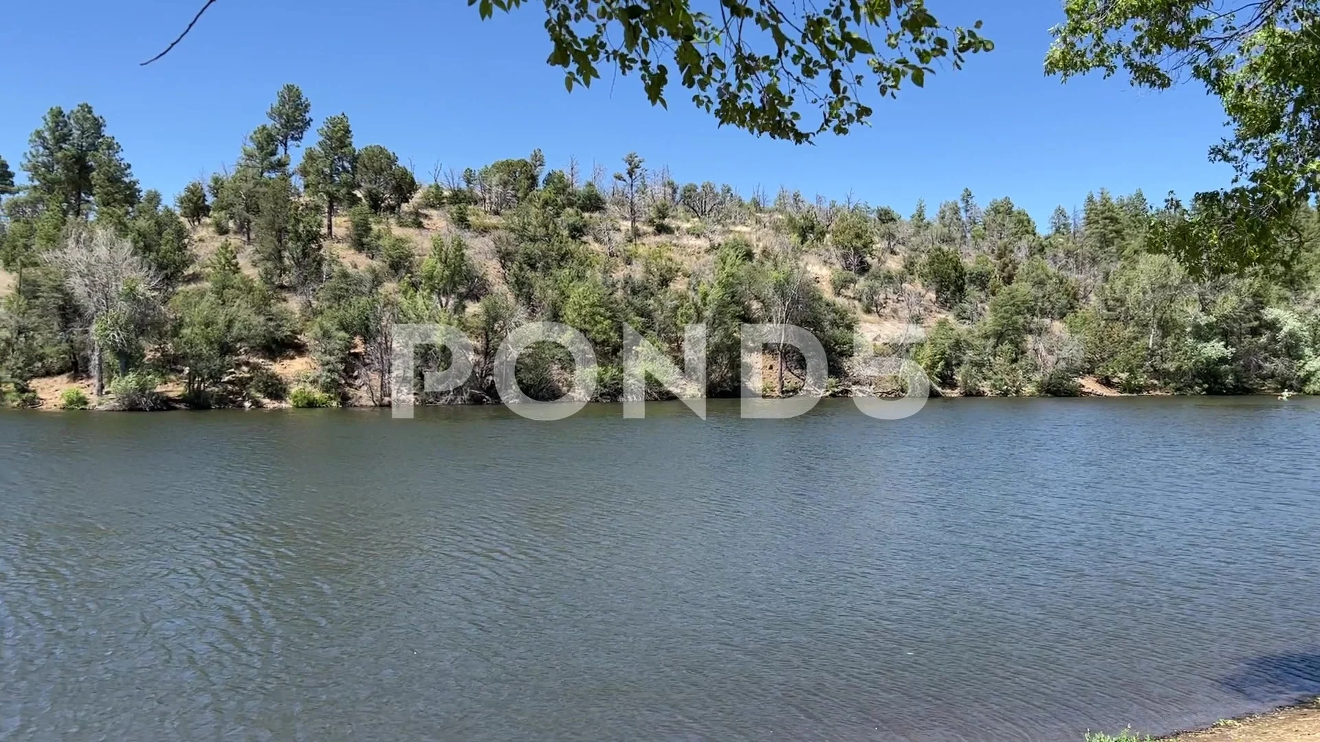 Lynx Lake Prescott Az