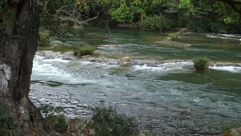 The Macal River flows through Belize. | Stock Video | Pond5
