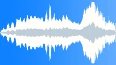 Weed Wacker Sound Effects ~ Weed Wacker Sounds | Pond5