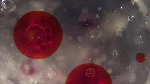 Macro abstract red liquid cells bubbling... | Stock Video | Pond5