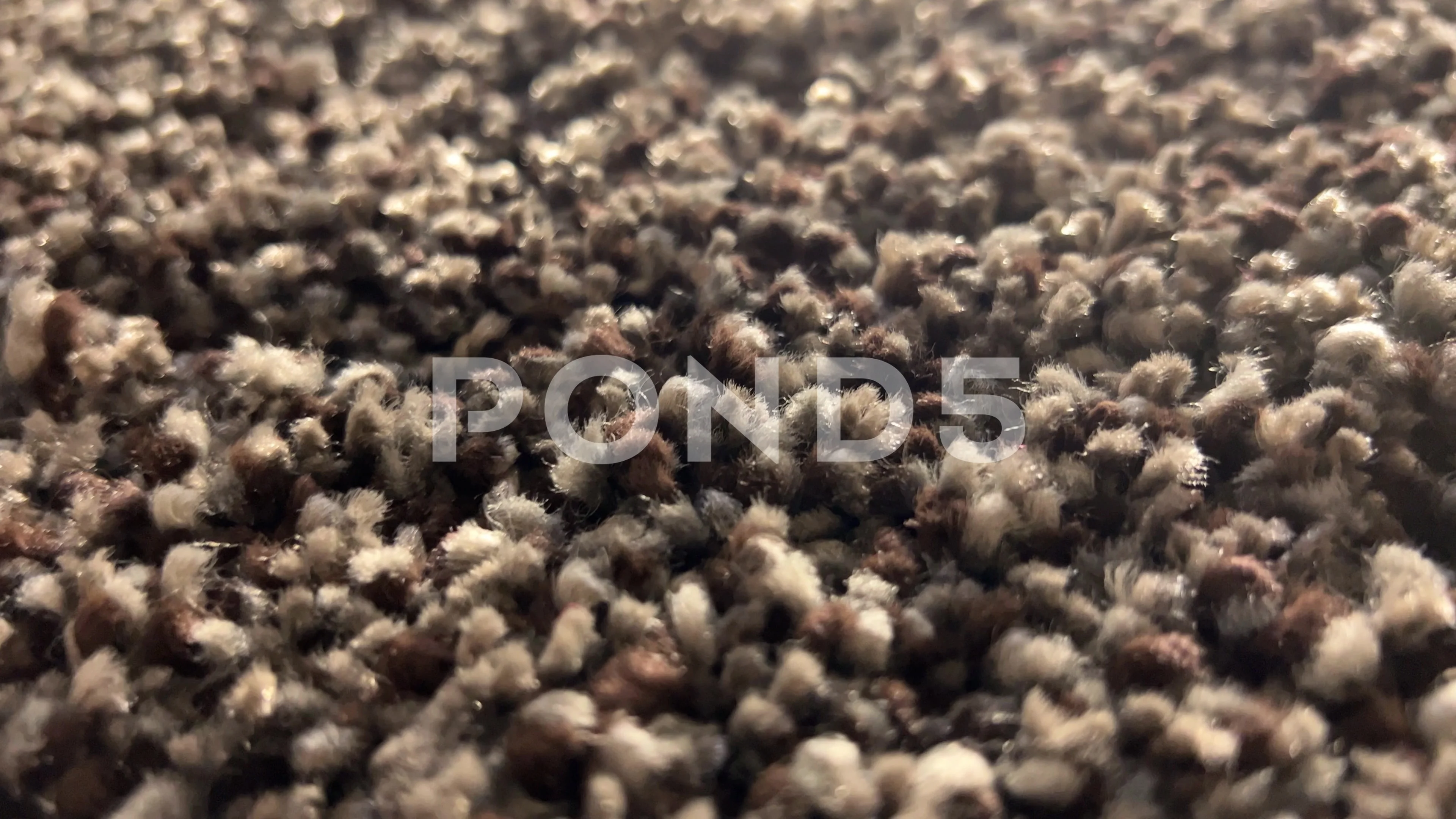 Carpet Close Up