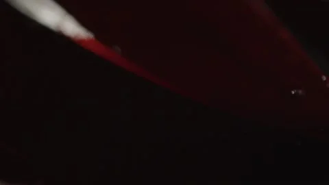 Macro dolly of a large puddle of blood. ... | Stock Video | Pond5