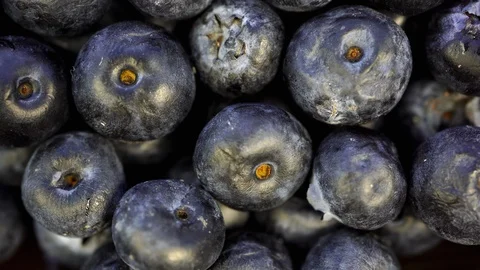 Dolly Details Stock Video Footage | Royalty Free Dolly Details Videos ...