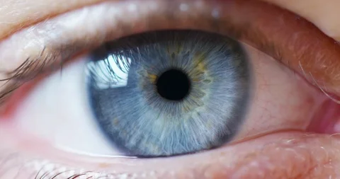 Macro of an eye with micro hi tech neuro... | Stock Video | Pond5