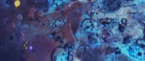 Underwater Color Grading Stock Videos – Royalty-Free HD & 4K Videos ...