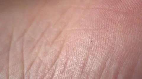 Human Skin Texture Background Stock Videos – Royalty-Free HD & 4K Videos