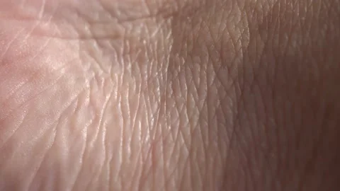 Macro Texture Human Skin Background | Stock Video | Pond5