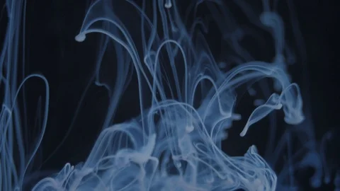 White P*** Video Stock Videos – Royalty-Free HD & 4K Videos