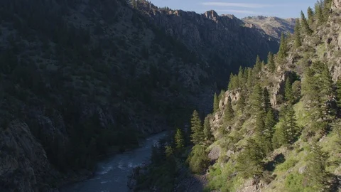 Madison Bear Stock Video Footage | Royalty Free Madison Bear Videos | Pond5