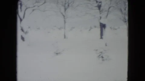 Hot Madison X Stock Videos – Royalty-Free HD & 4K Videos