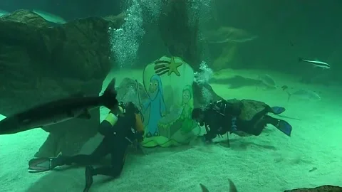 Underwater Display Stock Videos – Royalty-Free HD & 4K Videos | Page 3