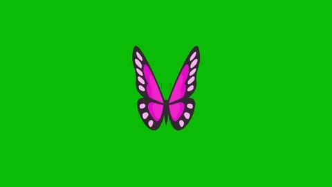 A magenta 2D butterfly flying on green s... | Stock Video | Pond5